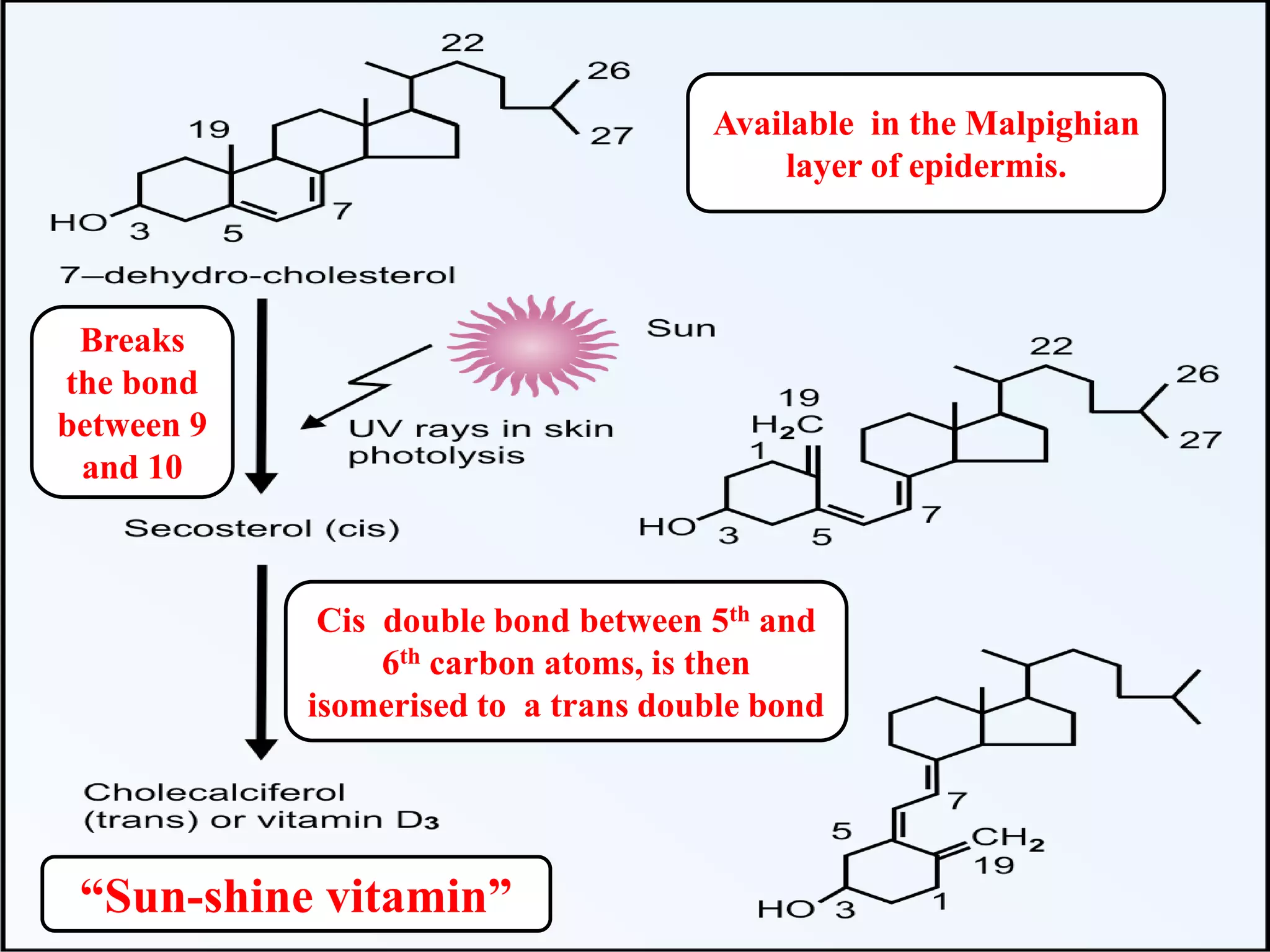 Fat Soluble Vitamins | PPT