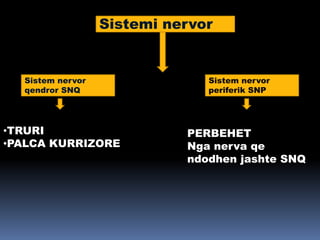SISTEMI NERVOR | PPT