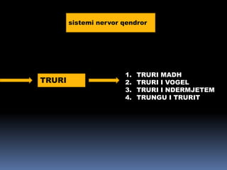 SISTEMI NERVOR | PPT