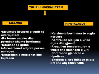 SISTEMI NERVOR | PPT