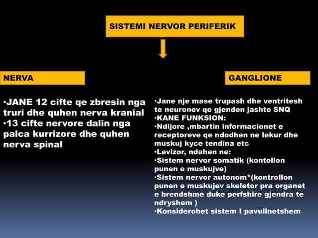 SISTEMI NERVOR | PPT