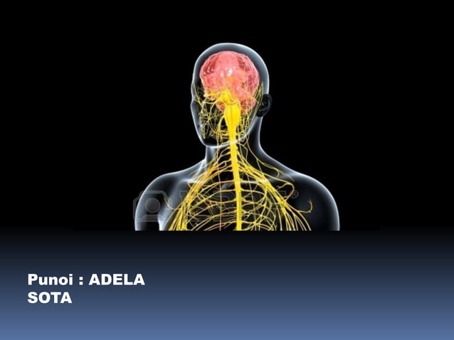 SISTEMI NERVOR | PPT