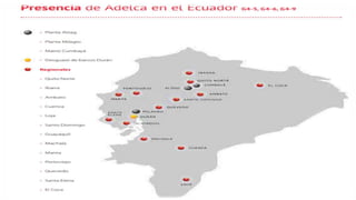 Adelca | PPTX