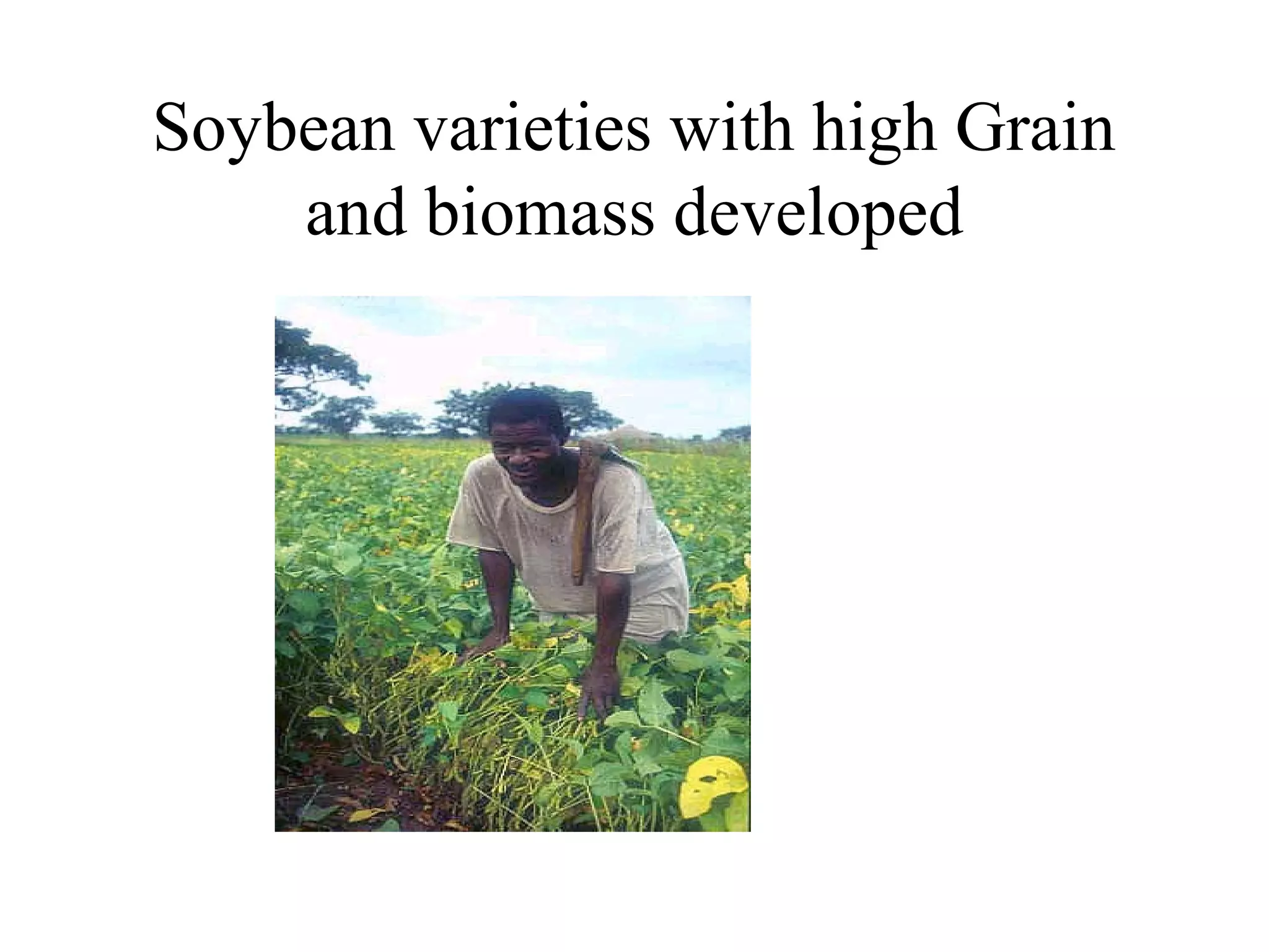 Soybean production and utilization IITA perspective | PPT