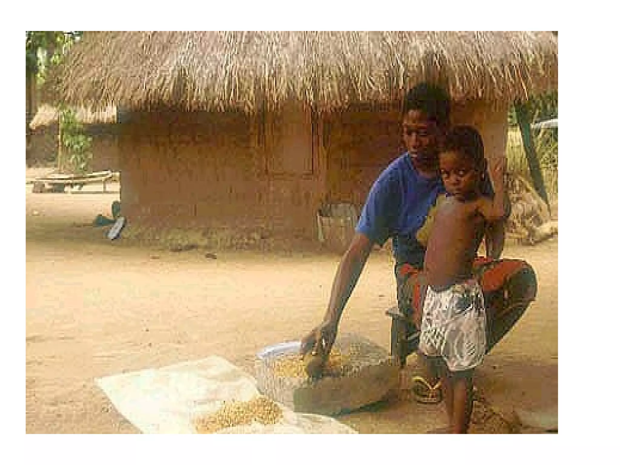 Soybean production and utilization IITA perspective | PPT