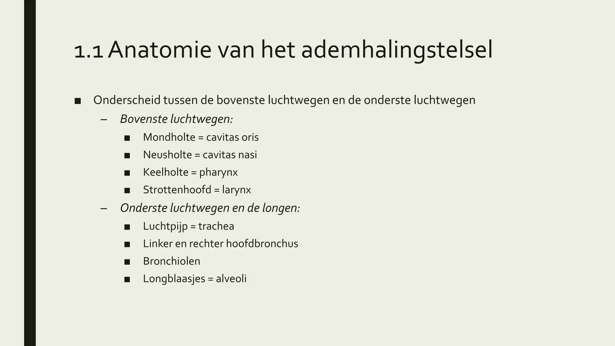 Ademhalingsstelsel: bovenste luchtwegen | PPTX