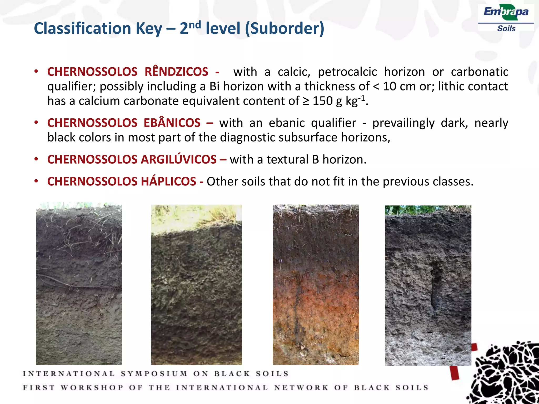 Black Soils in Brazil - Ademir Fontana | PDF