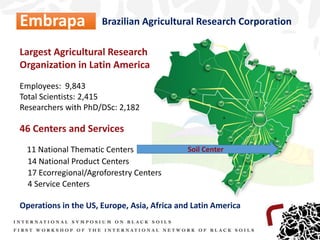 Black Soils in Brazil - Ademir Fontana | PDF