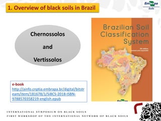 Black Soils in Brazil - Ademir Fontana | PDF