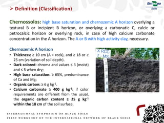 Black Soils in Brazil - Ademir Fontana | PDF