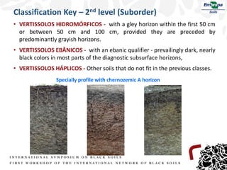 Black Soils in Brazil - Ademir Fontana | PDF