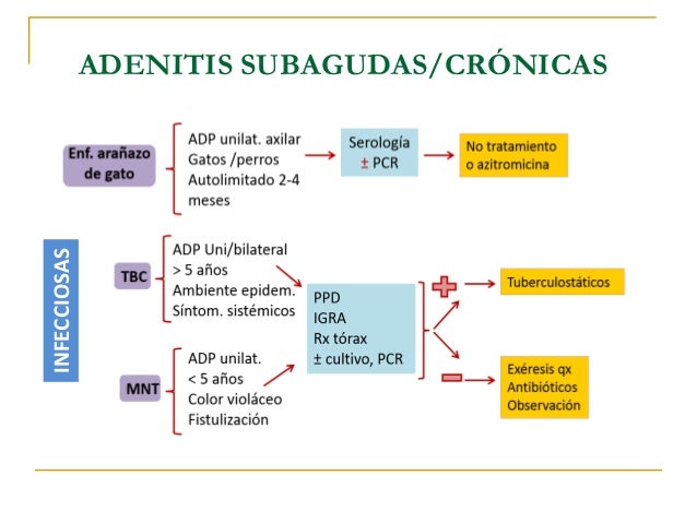 Adenitis crónicas en pediatría