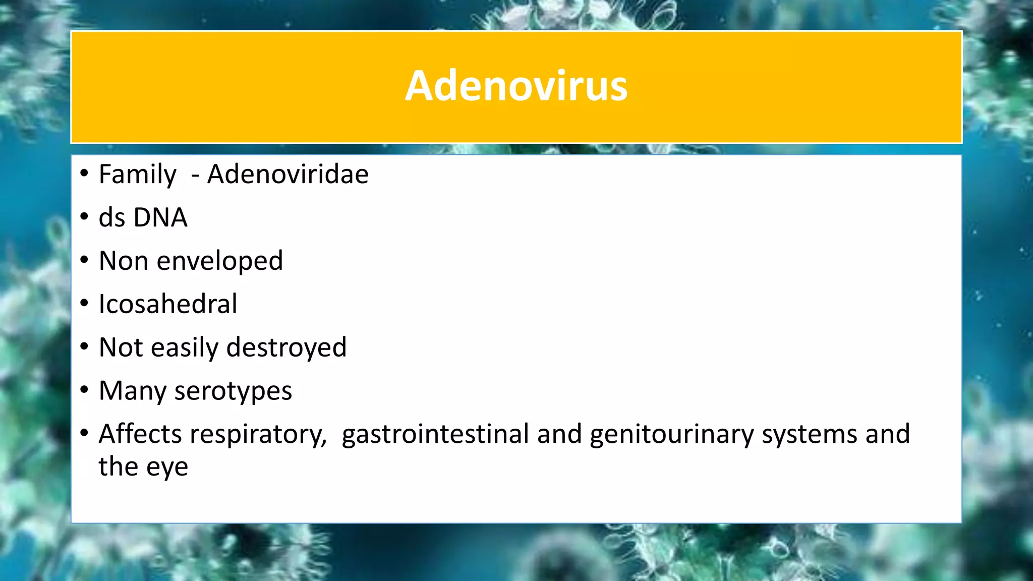 Adenovirus | PPT
