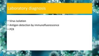 Adenovirus | PPT