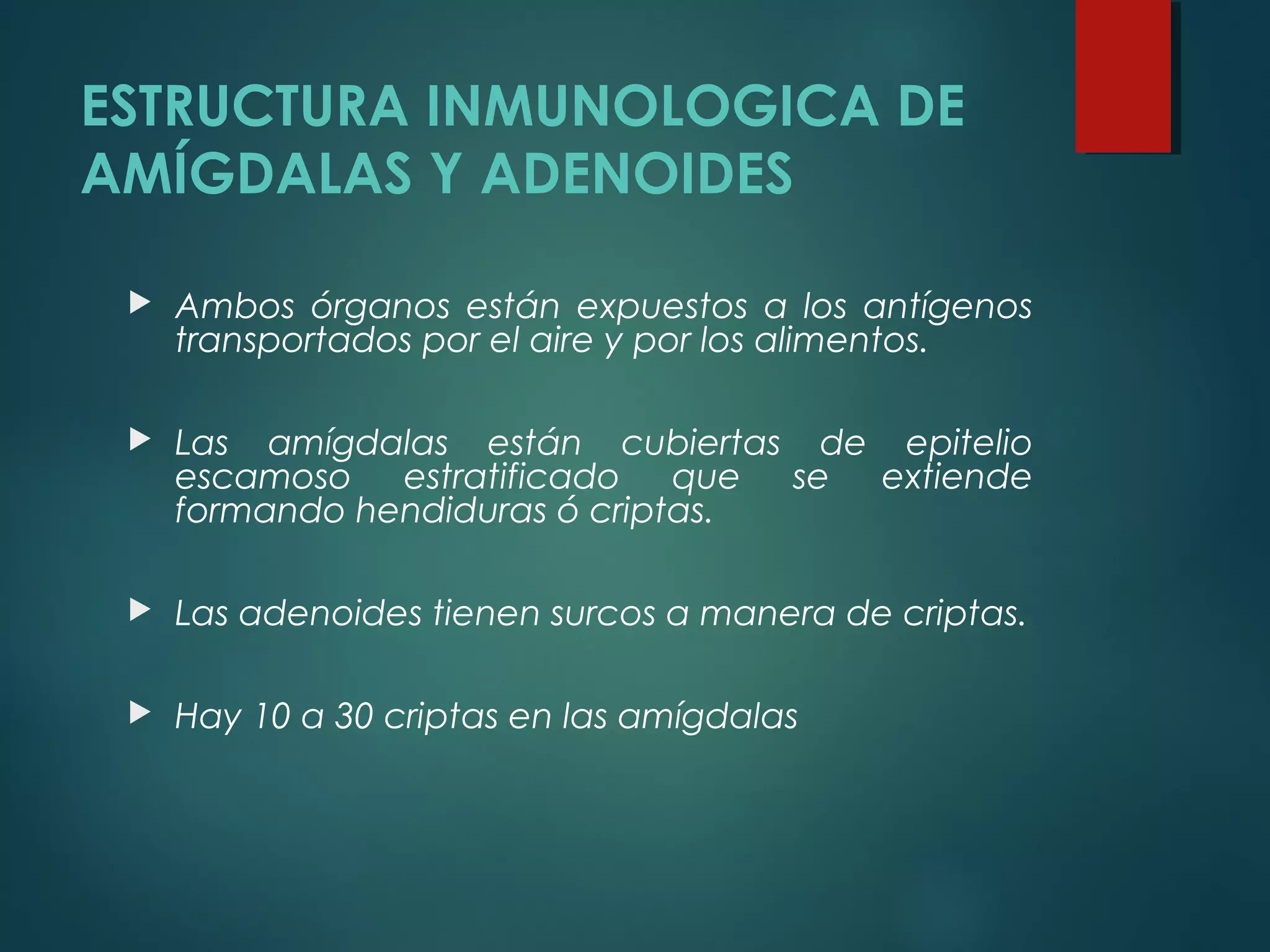 ADENOIDECTOMÍA AMIGDALECTOMÍA | PPT | Ear, Nose and Throat Conditions ...