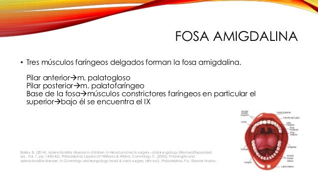 Adenoamigdalitis aguda y crónica