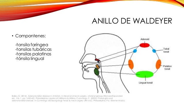 Adenoamigdalitis aguda y crónica