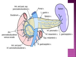 Adenocarcinoma pancreas-area-periampular