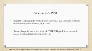 adenohipófisis para estudiantes endocrino | PPTX