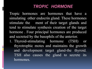 Adenohypophysis | PPTX
