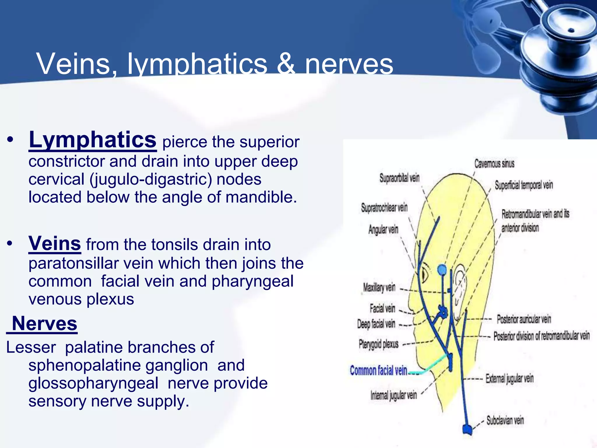 adenoid and tonsilllll.pptx