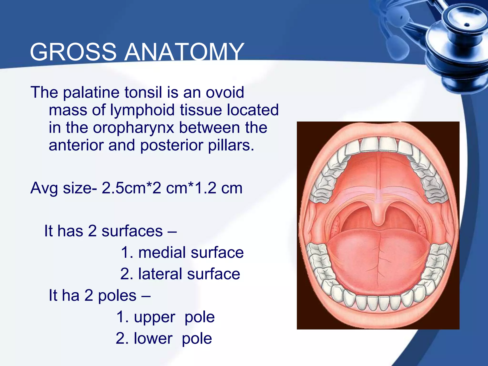 adenoid and tonsilllll.pptx