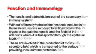 Adenoid Enlargement.pptx