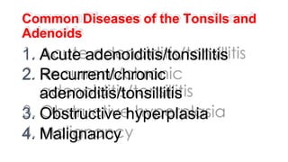 Adenoid Enlargement.pptx