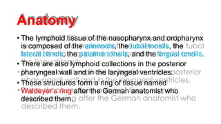Adenoid Enlargement.pptx | Ear, Nose and Throat Conditions | Diseases ...