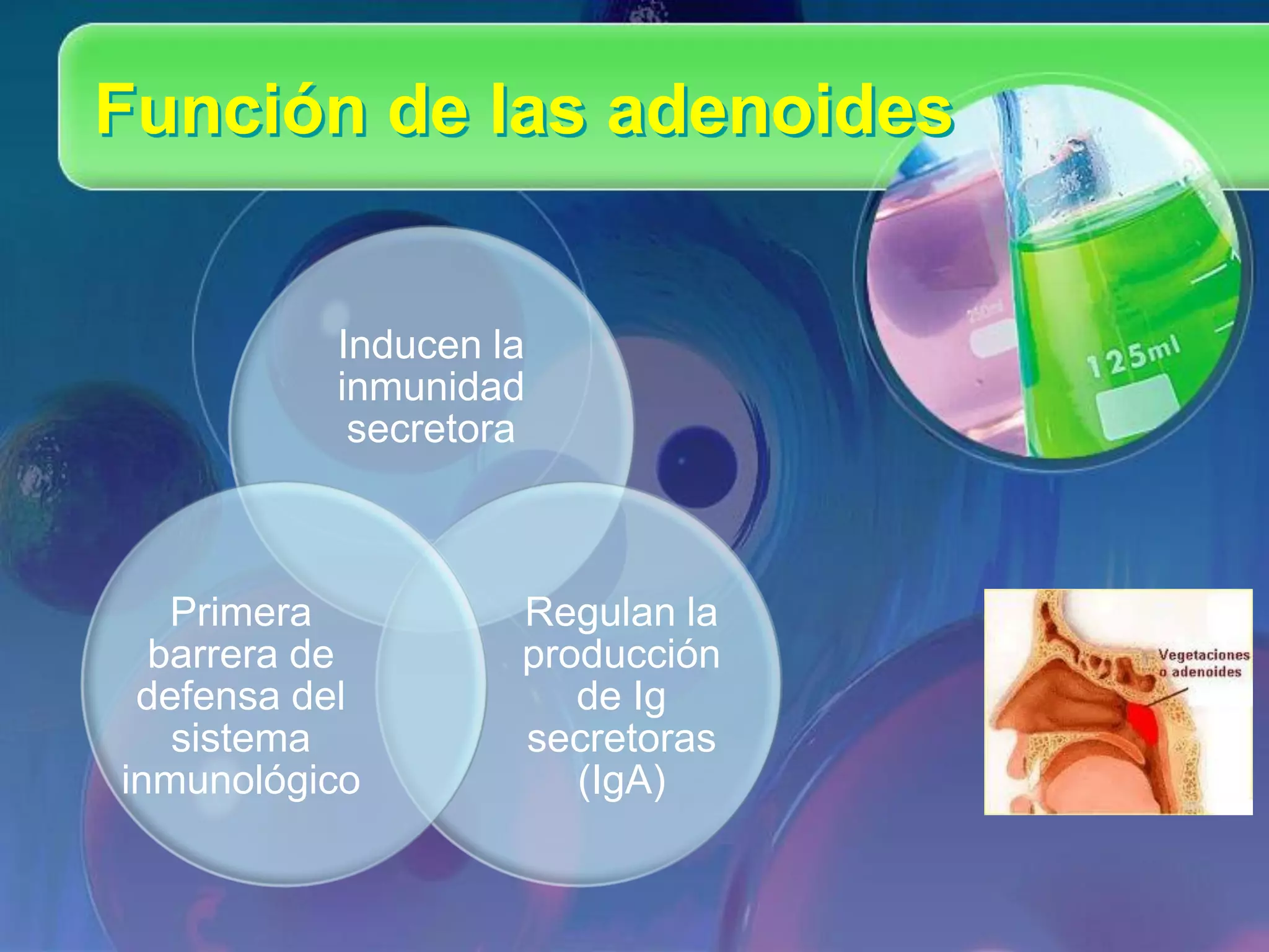 Adenoiditis y rinitis | PDF | Ear, Nose and Throat Conditions ...
