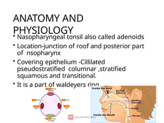 ADENOIDS-WPS Office(1).pptx ent ppt adenoids | PPTX