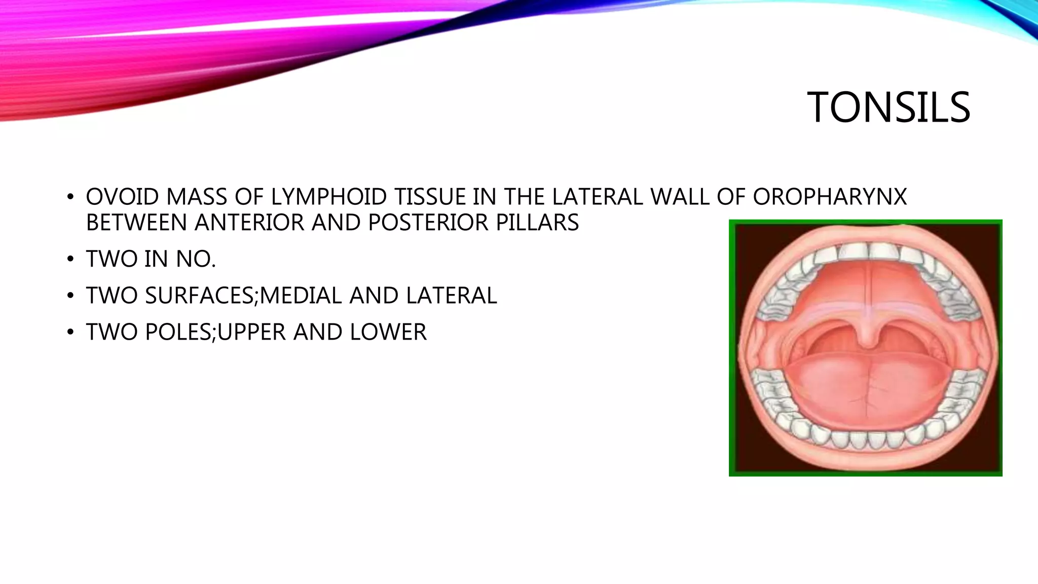 Adenoids,acute and chronic tonsillitis | PPTX
