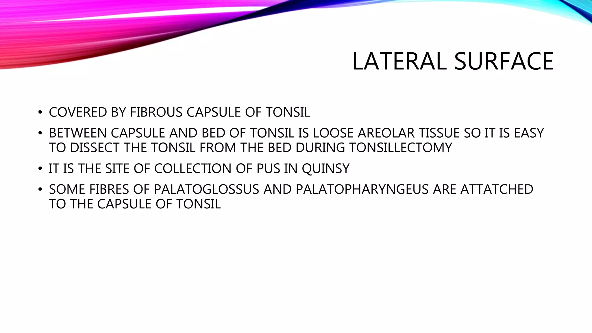 Adenoids,acute and chronic tonsillitis | PPTX