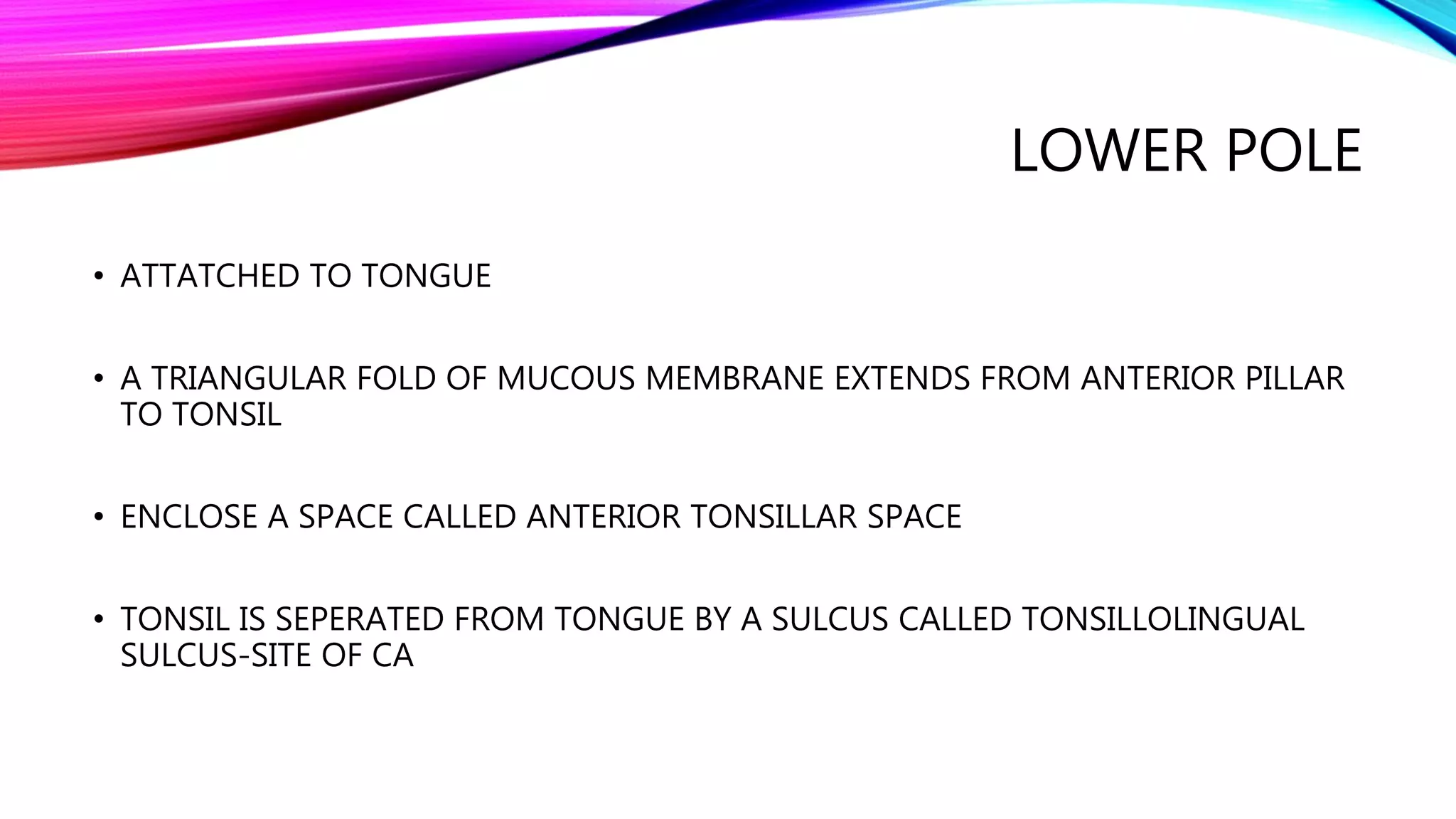 Adenoids,acute and chronic tonsillitis | PPTX