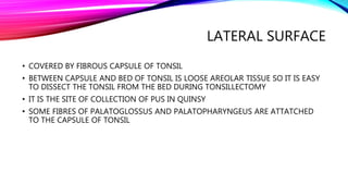 Adenoids,acute and chronic tonsillitis | PPTX