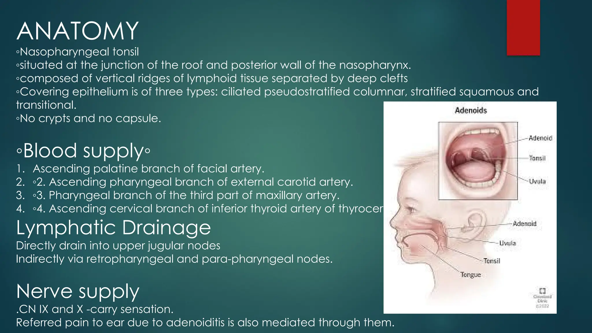 ADENOIDS PPT presentation .pptx education | PPT