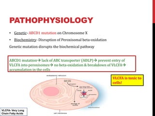 Adenoleukodystrophy | PPT