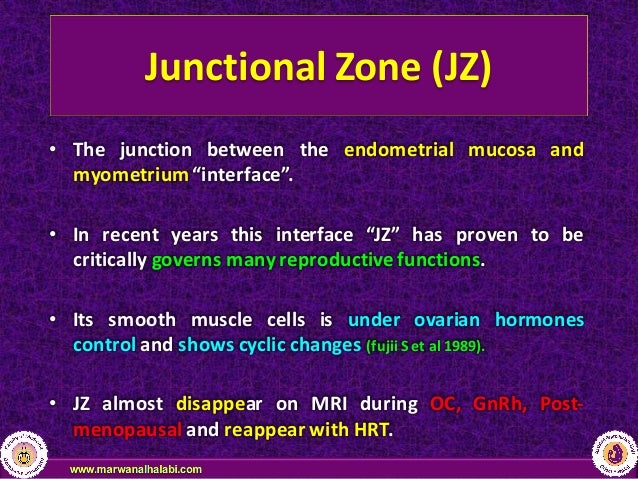 Adenomyosis and Assisted Conception