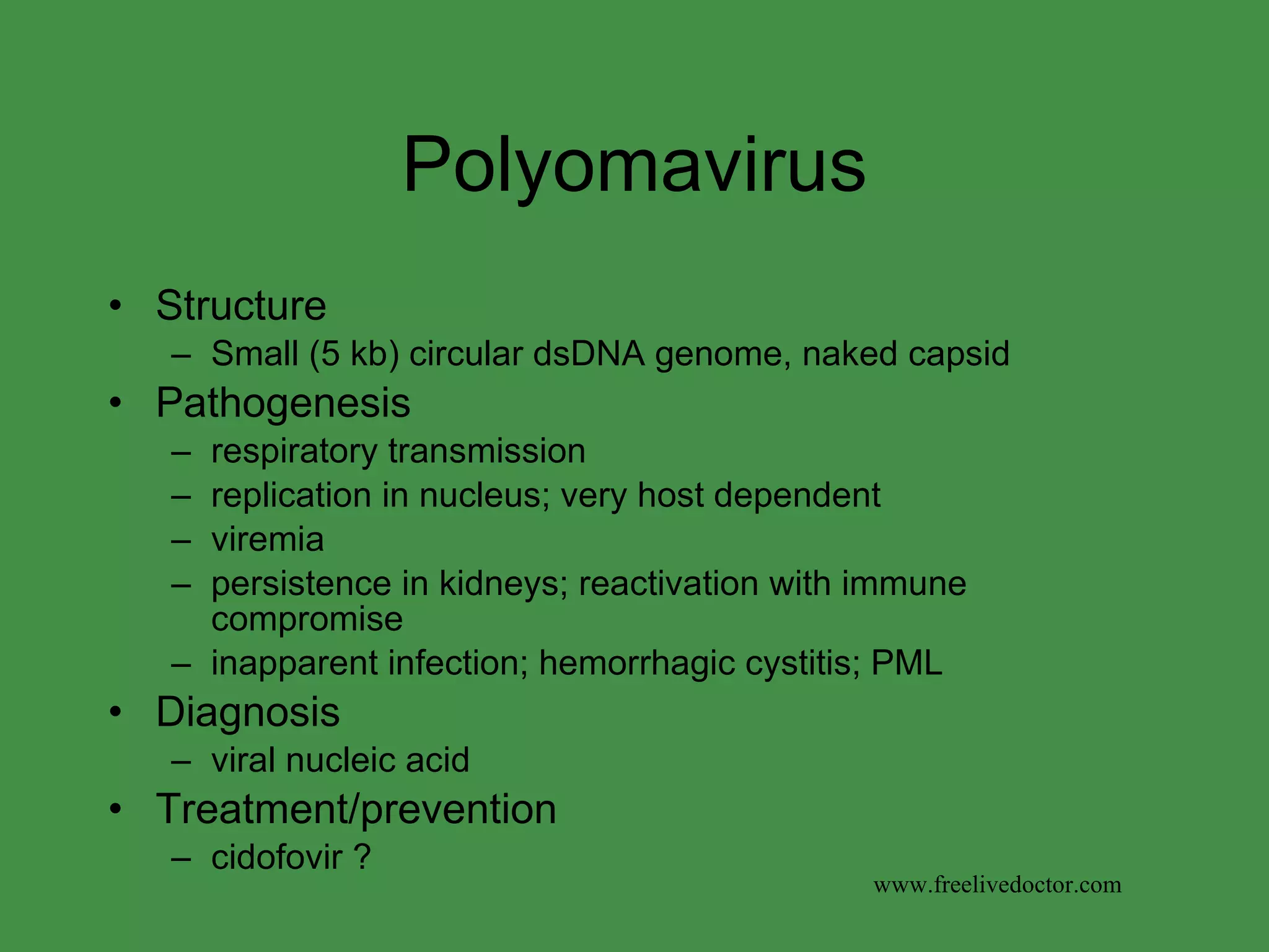 Adeno,Parvo,Polyoma Virus | PPT