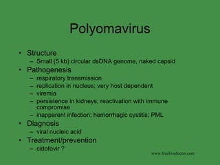 Adeno,Parvo,Polyoma Virus | PPT