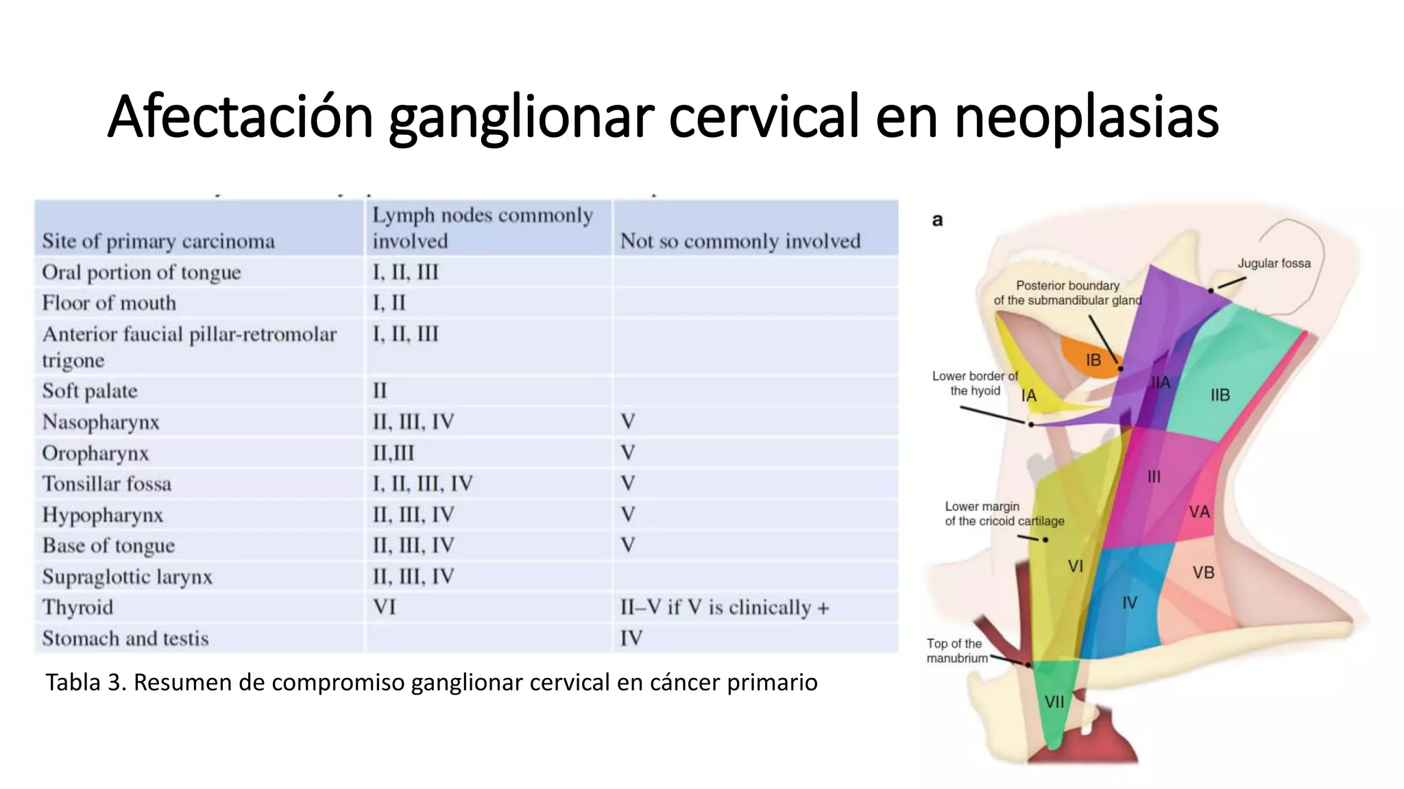 ADENOPATIAS CABEZA Y CUELLO .pptx