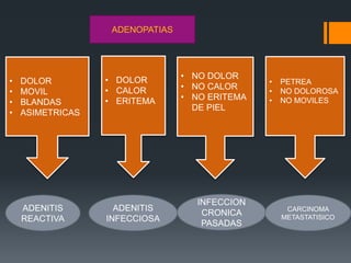 Adenopatias cervicales | PPTX