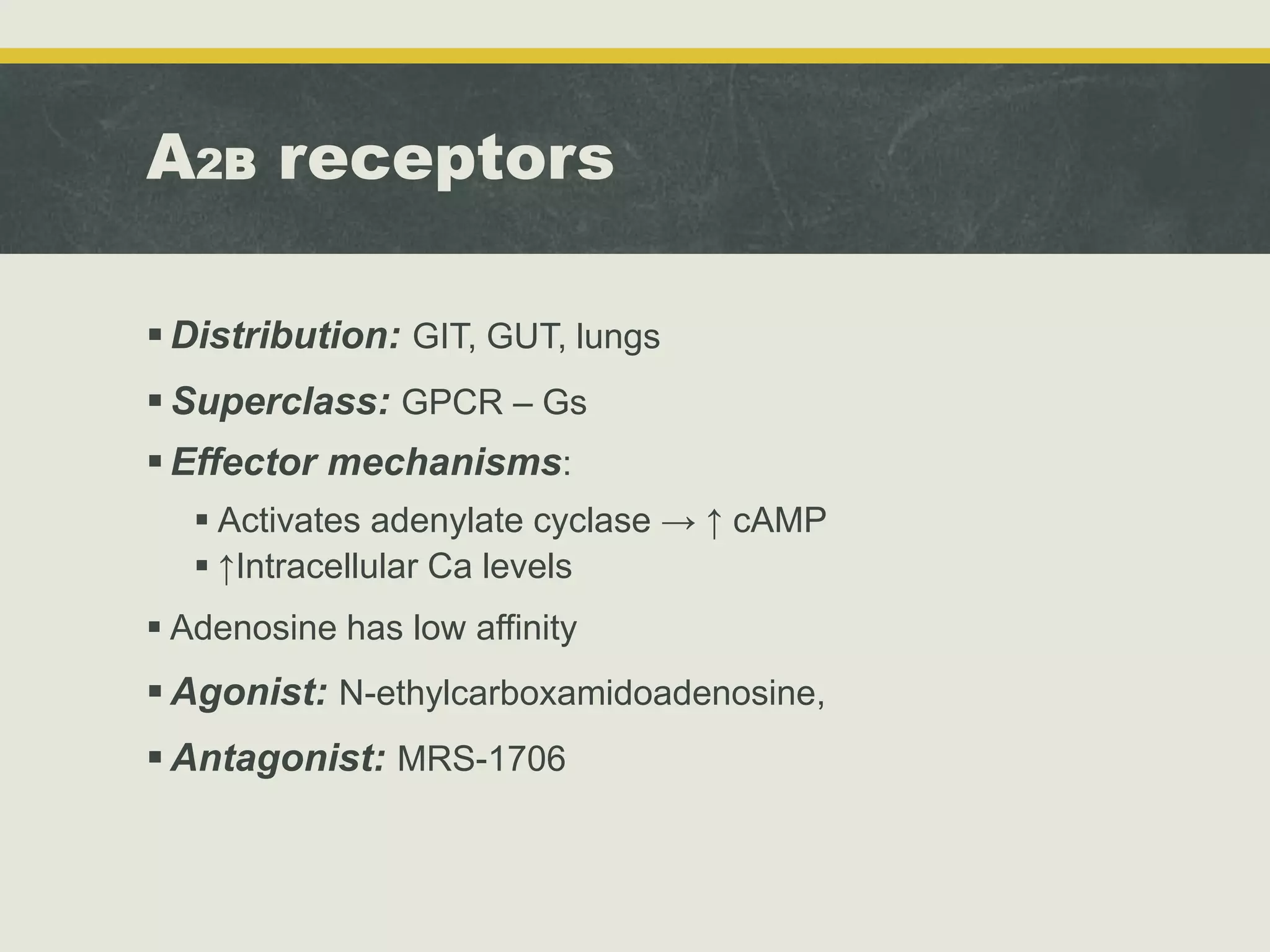 Adenosine | PPTX