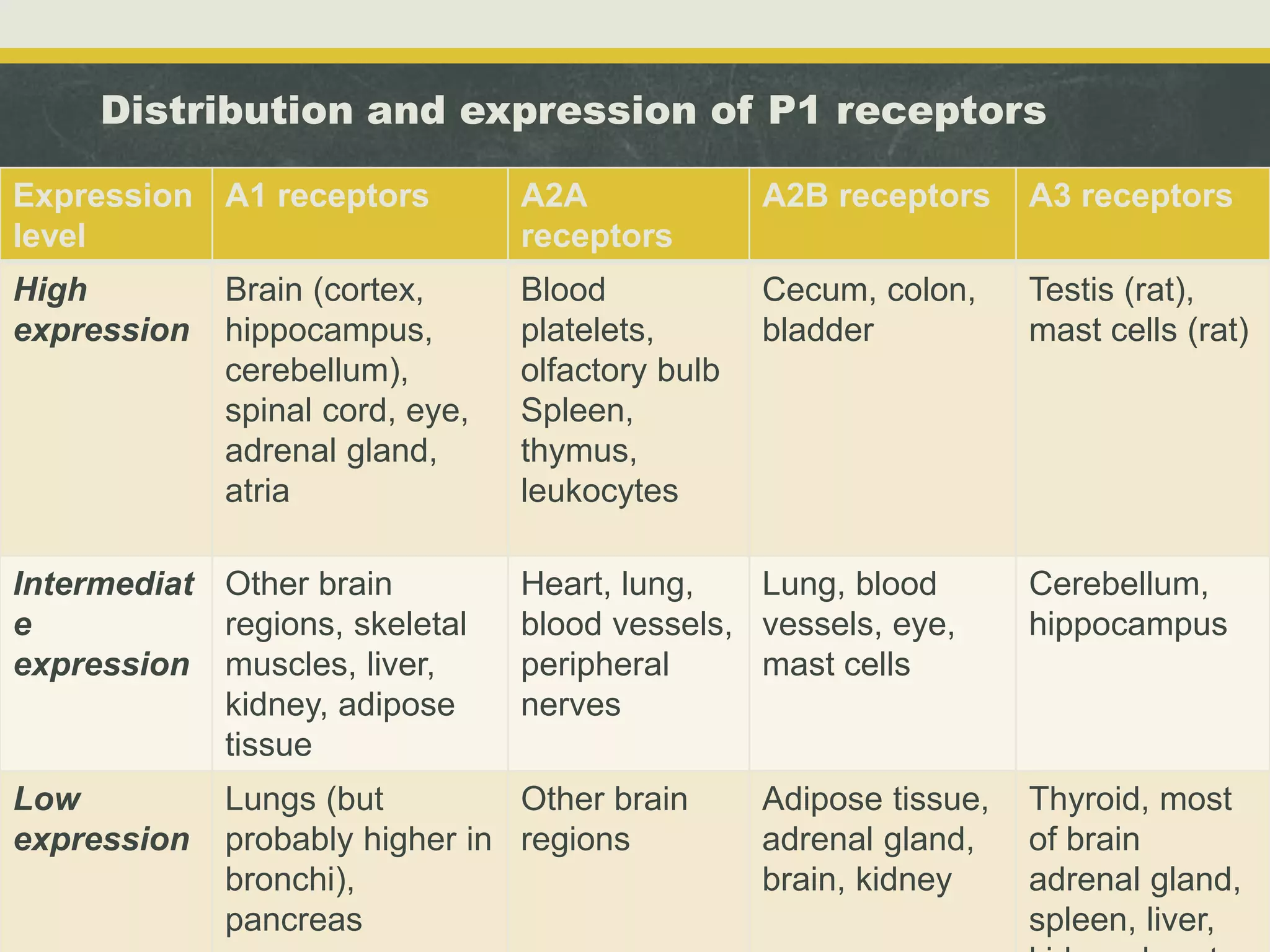 Adenosine | PPTX