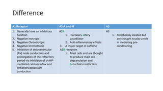adenosine for casualty and icu patients ppt | PPTX
