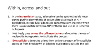 adenosine for casualty and icu patients ppt | PPT