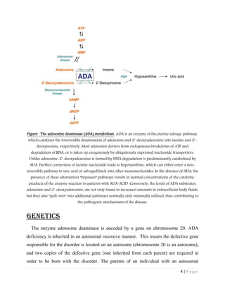 Adenosine deaminase (ADA) Gene Therapy | PDF