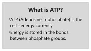 ADENOSINE TRIPHOSPHATE (ATP) SHS TOPIC.pptx
