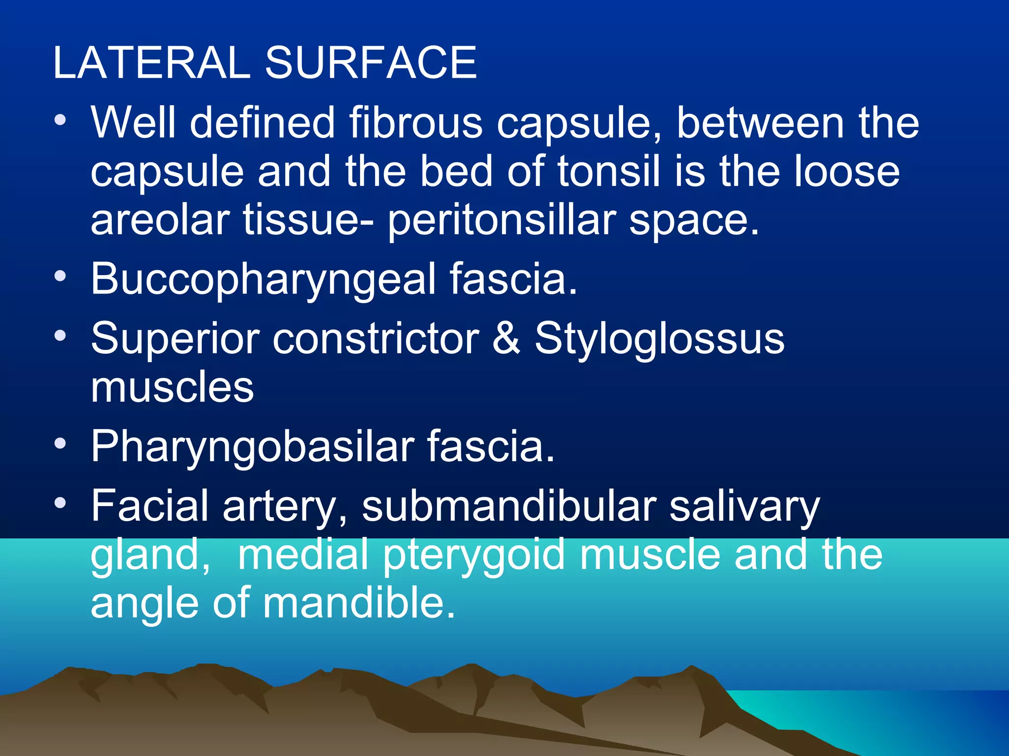 Adeno tonsillitis dr.p.k arthikeyan, 11.07.16