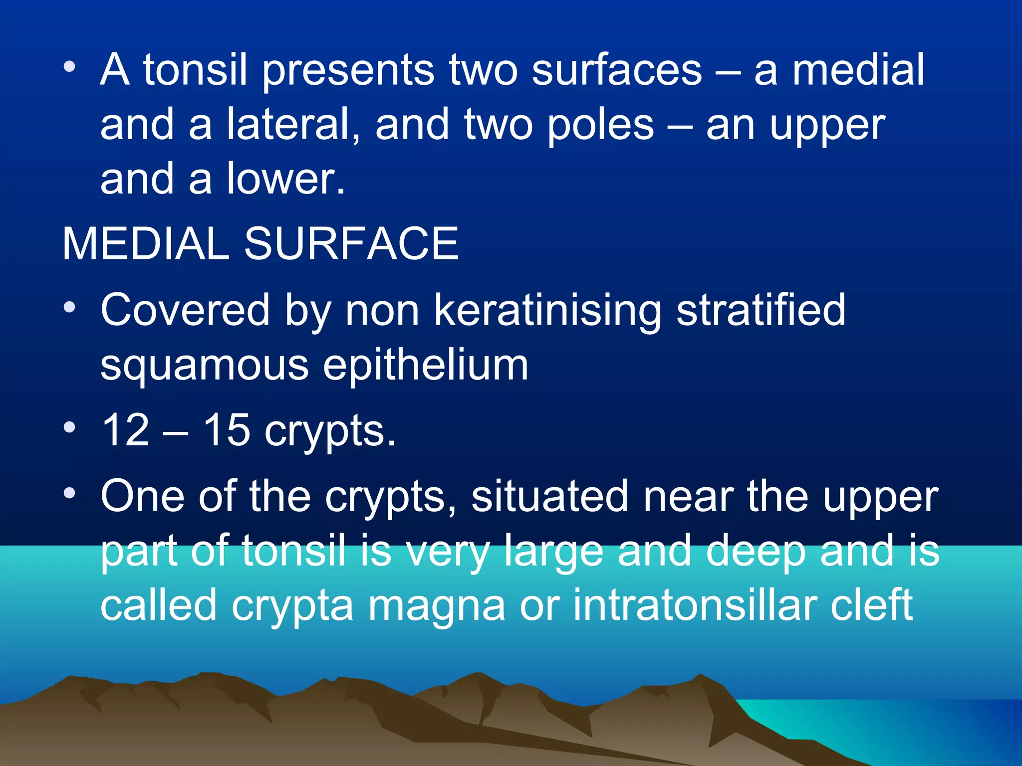 Adeno tonsillitis dr.p.k arthikeyan, 11.07.16